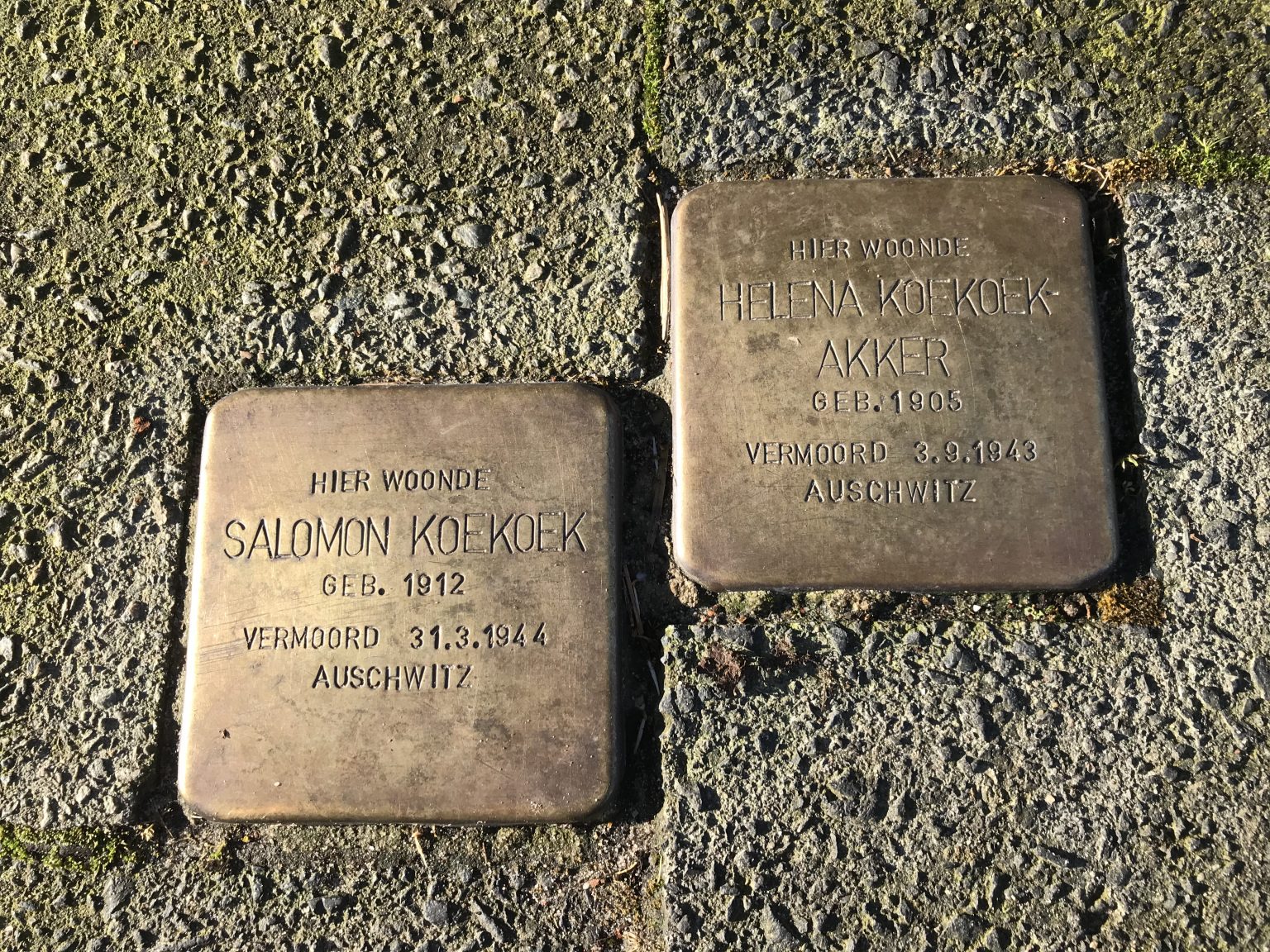 Stolpersteine (struikelstenen) – Leeuwendaal